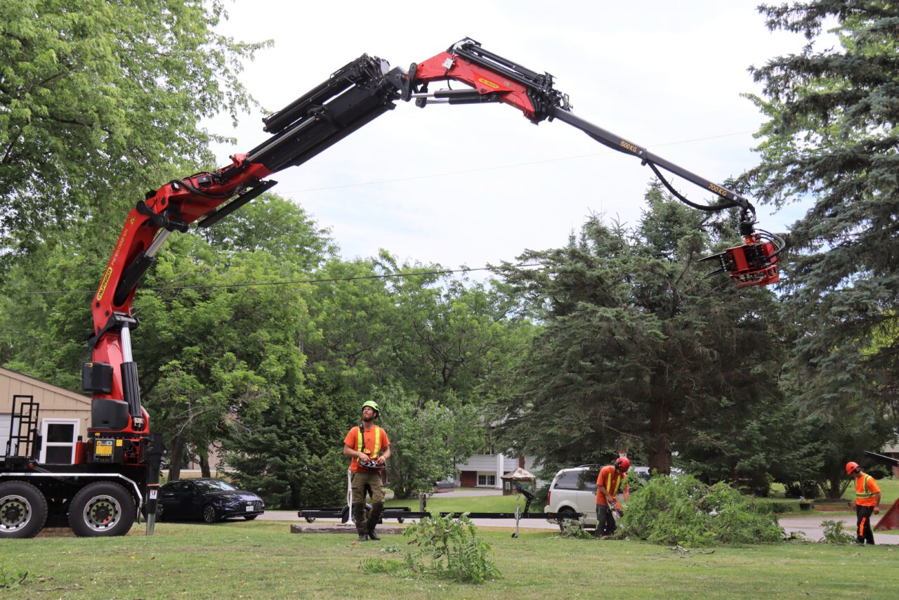 Professional Tree Removal | Peterborough and Kawartha
