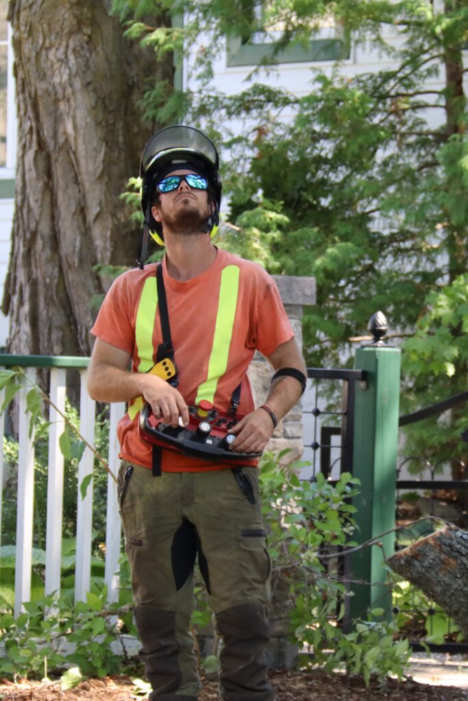 Management Team | Treescape Certified Arborists